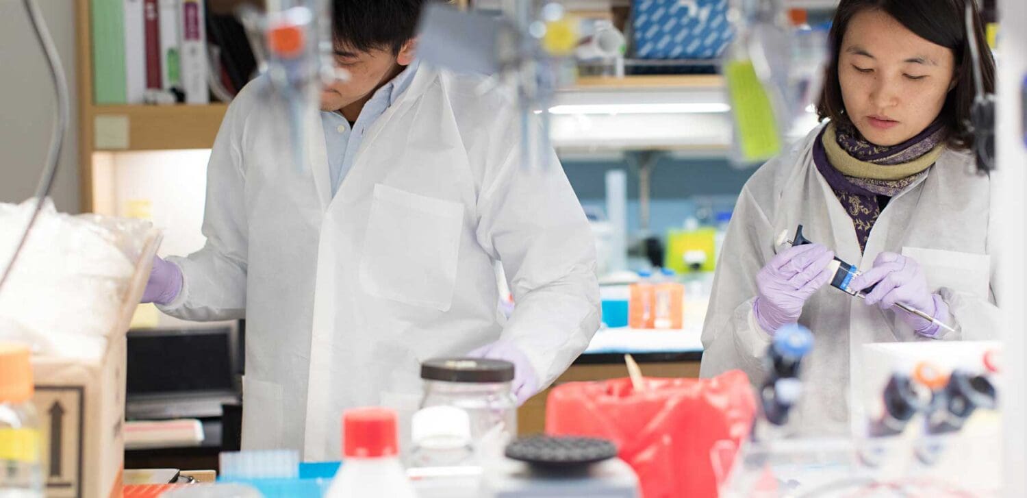 $4M Grant Supports Next Generation of Geroscientists | USC Gerontology