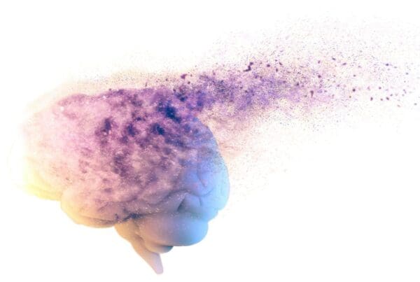 Fasting-Mimicking Diet Lowers Dementia Signs in Mice | USC Gerontology Fasting-Mimicking Diet Lowers Dementia Signs in Mice | USC Gerontology